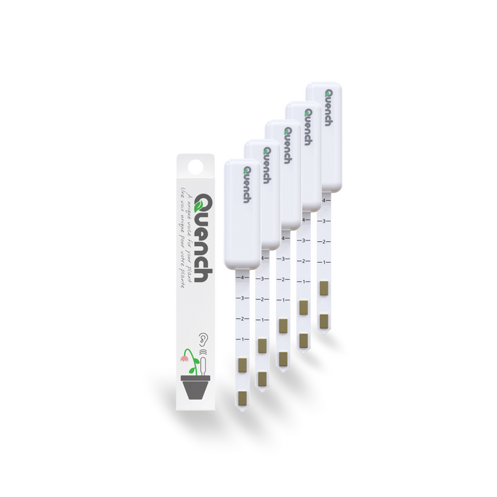 Quench - 5 pack Regular – QuenchPlant